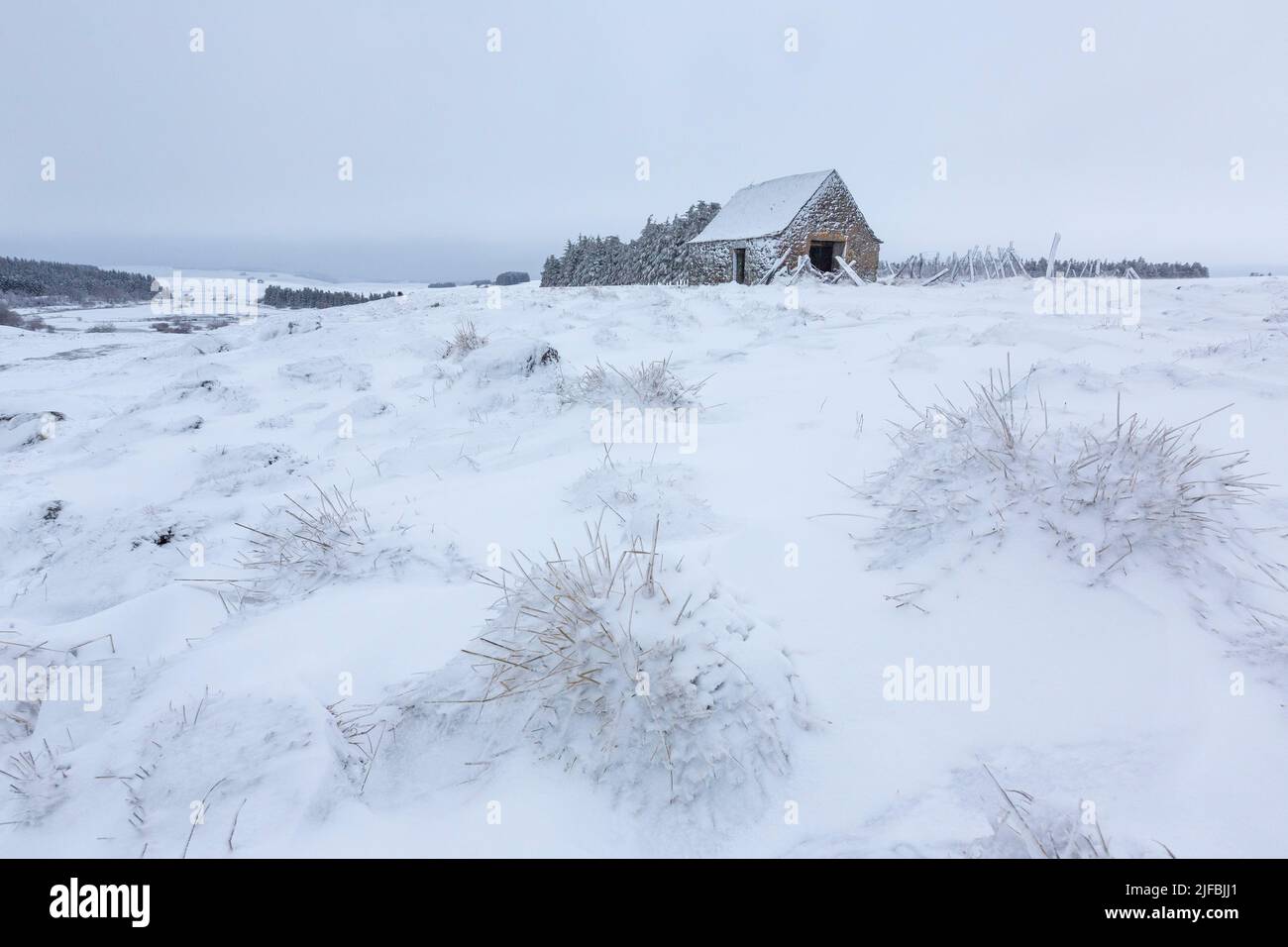 France, Aveyron, Aubrac Regional Natural Park, buron Stock Photo - Alamy