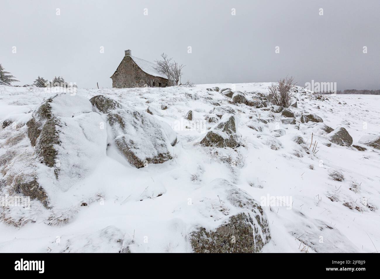 France, Aveyron, Aubrac Regional Natural Park, buron Stock Photo - Alamy