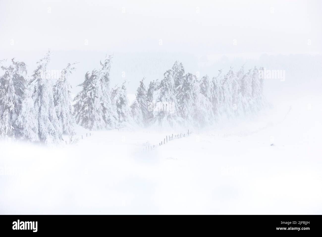 France, Aveyron, landscape of Aubrac Regional Natural Park Stock Photo ...
