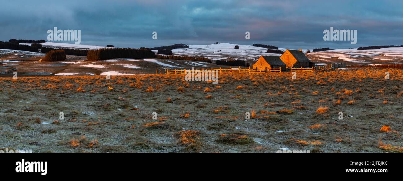 France, Lozere, Aubrac regional natural park, buron Stock Photo - Alamy