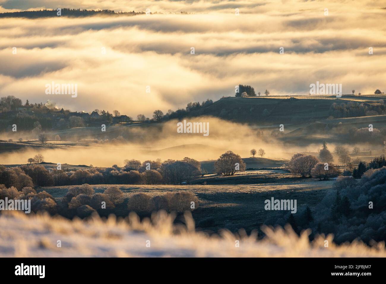 France, Cantal, Aubrac Regional Natural Park, buron Stock Photo - Alamy