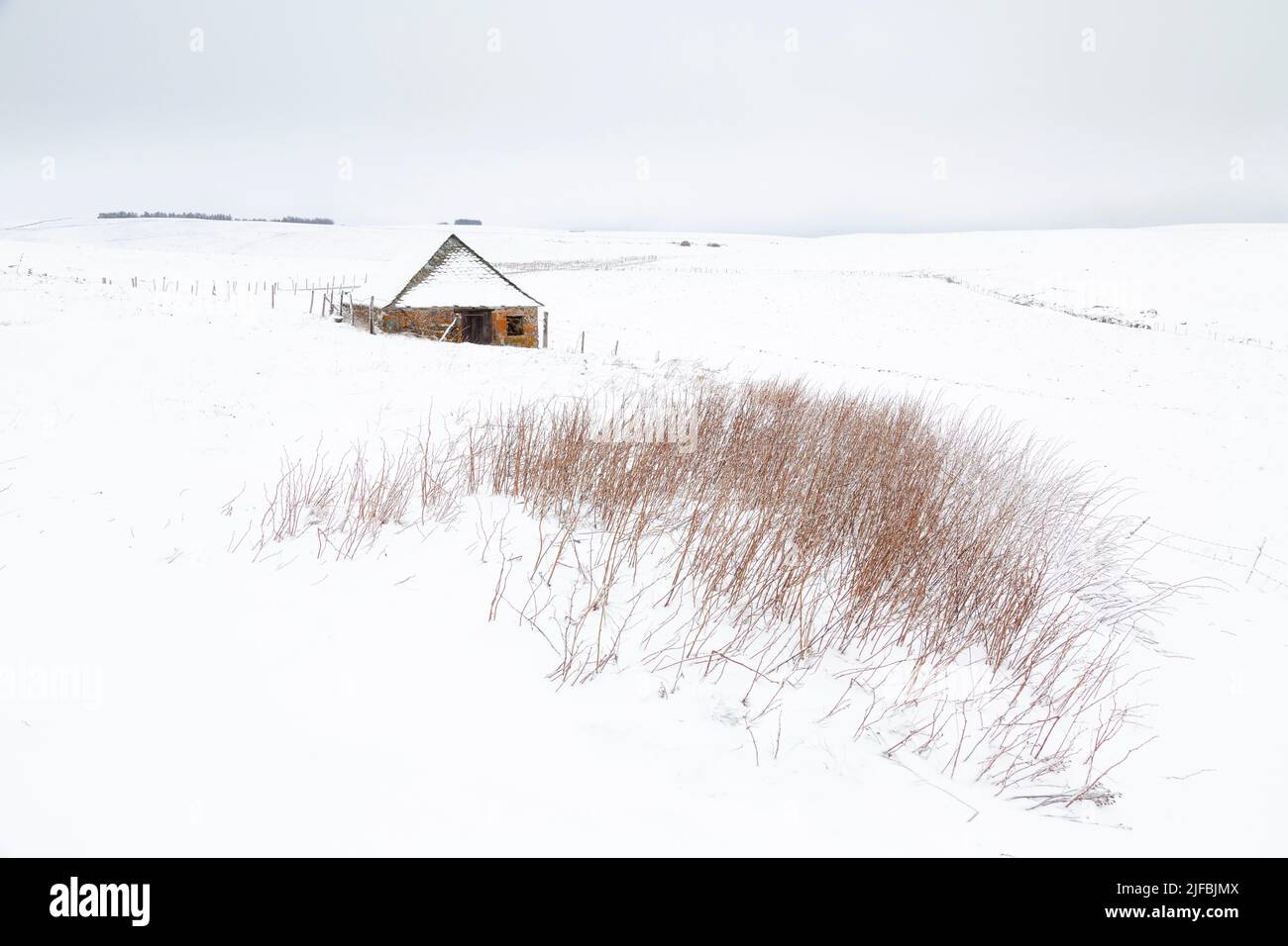 France, Cantal, Aubrac Regional Natural Park, buron Stock Photo - Alamy