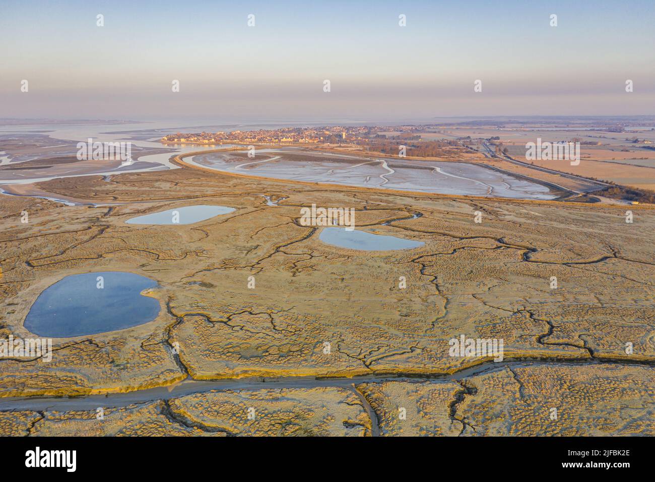 France, Somme, Somme Bay, Le Crotoy, Sunrise over the frost-covered ...