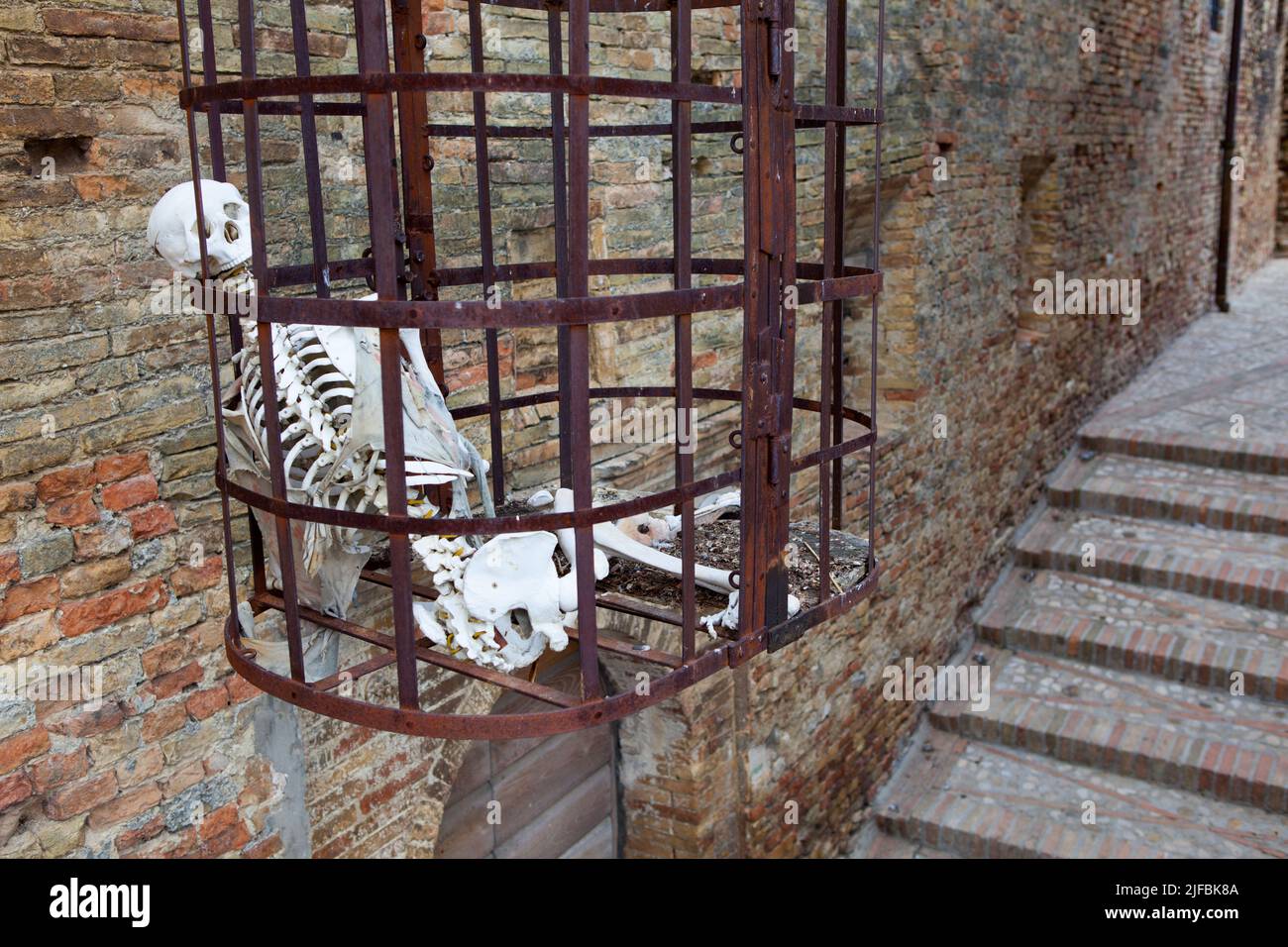 Skeleton in cage hi-res stock photography and images - Alamy