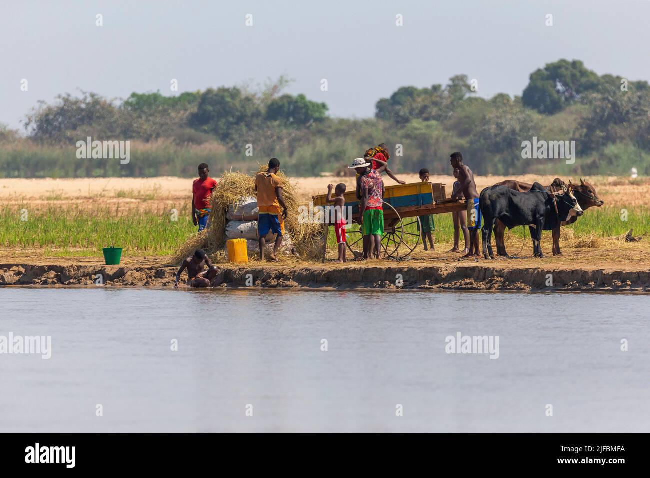 Madagascar, Menabe region, Bemaraha massif, the Tsiribihina river ...