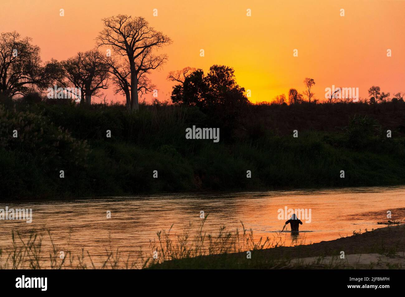 Madagascar, Menabe region, Bemaraha massif, the Tsiribihina river Stock ...