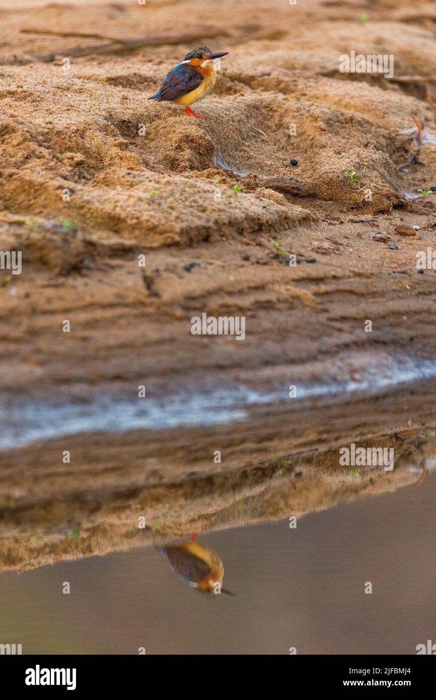 Madagascar, Menabe region, Bemaraha massif, the Tsiribihina river ...