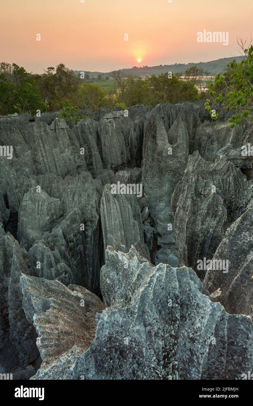 Madagascar, Melaky region, Tsingy de Bemaraha national park, Tsingy de ...