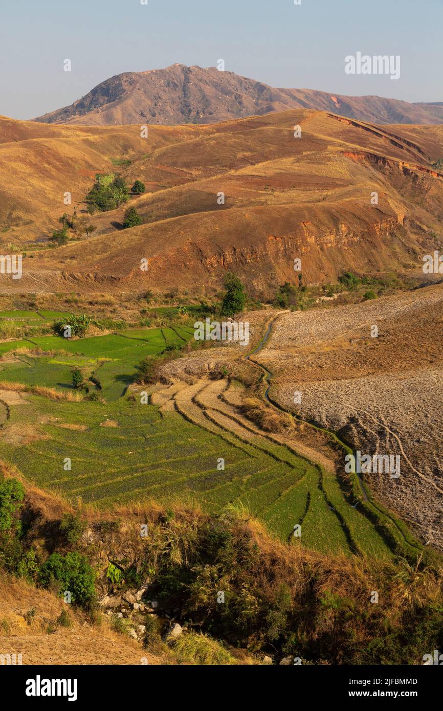 Madagascar, Central Highlands, former province of Antananarivo ...