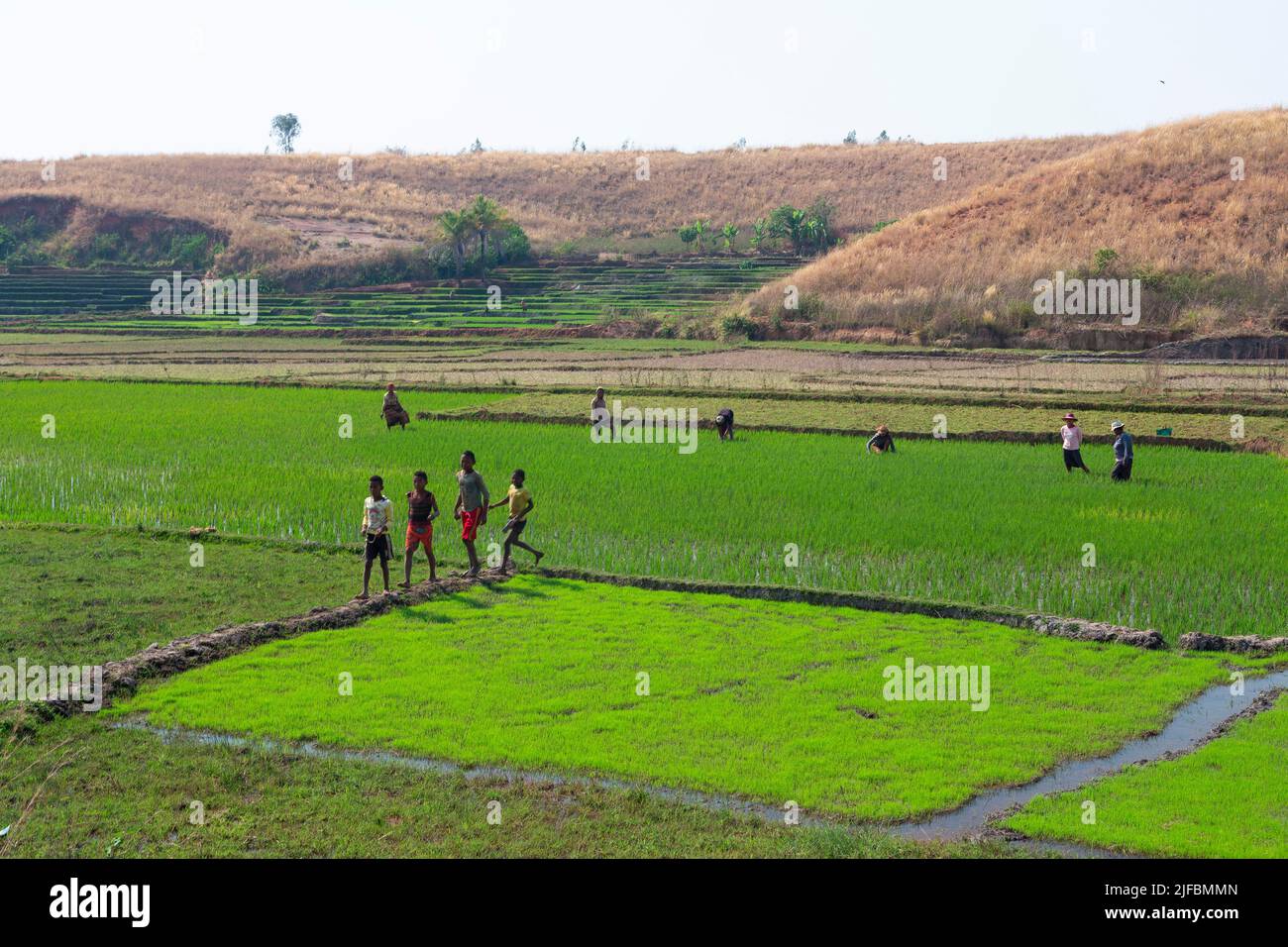 Madagascar, Central Highlands, former province of Antananarivo ...