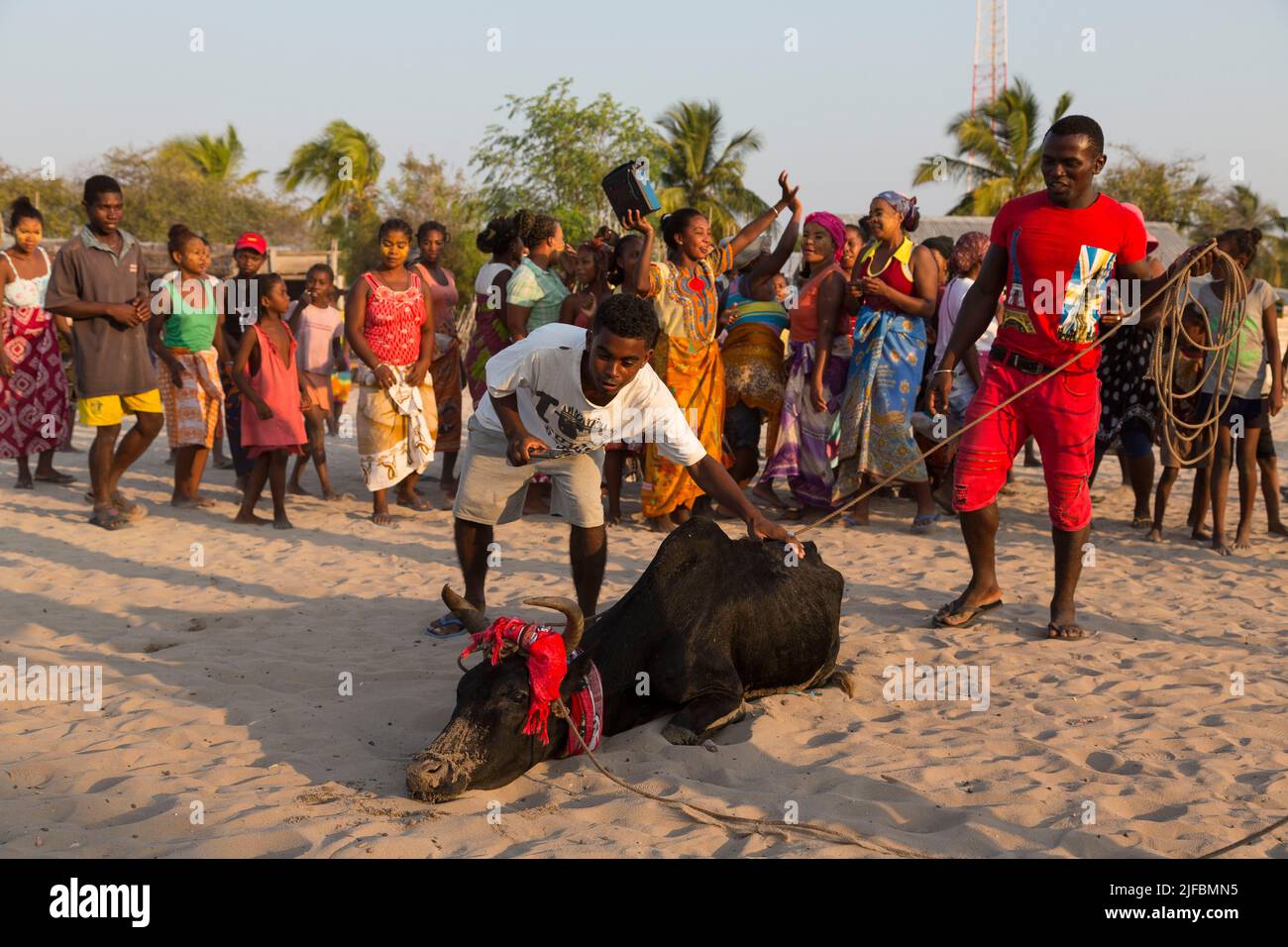 Madagascar, Menabe region, Belo-sur-Mer, Mozambique Channel, ceremony ...