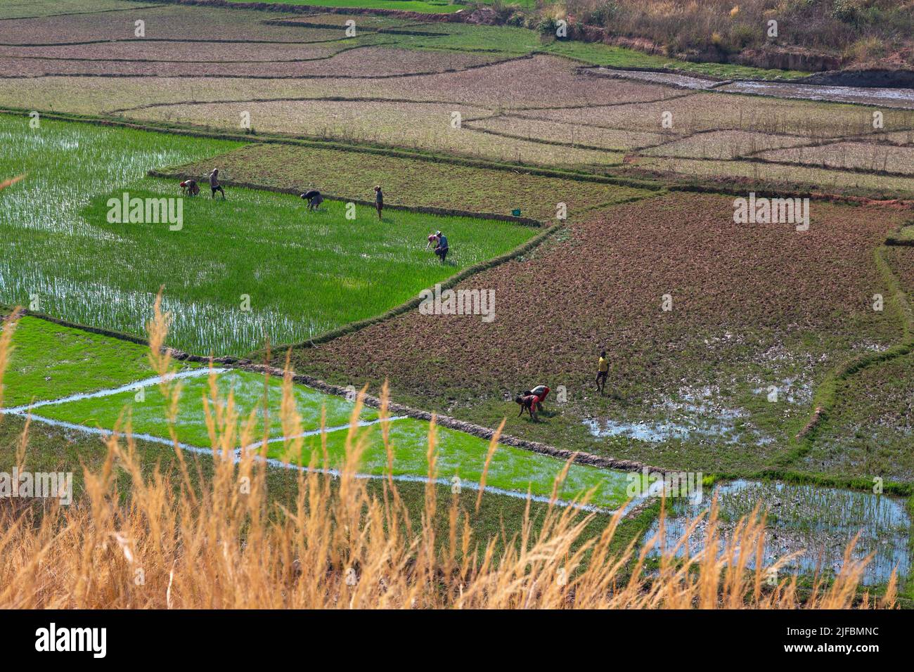 Madagascar, Central Highlands, former province of Antananarivo ...