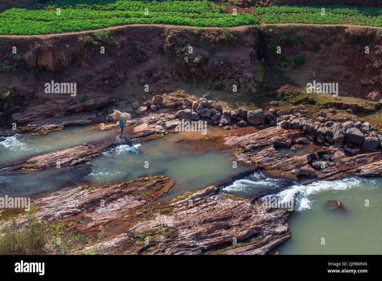 Madagascar, Central highlands, Vakinankaratra region, rice fields ...