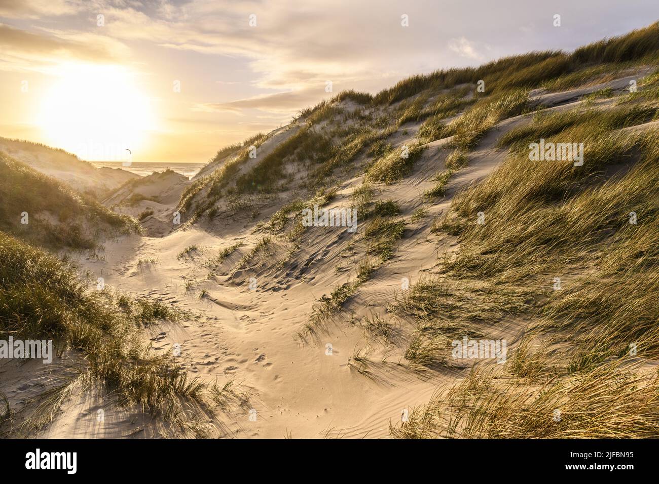 France, Somme, Baie de Somme, Saint-Valery-sur-Somme, The dunes of ...
