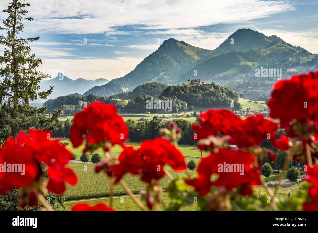 Switzerland, Canton of Friborg, Gruyères, medieval city, the castle ...
