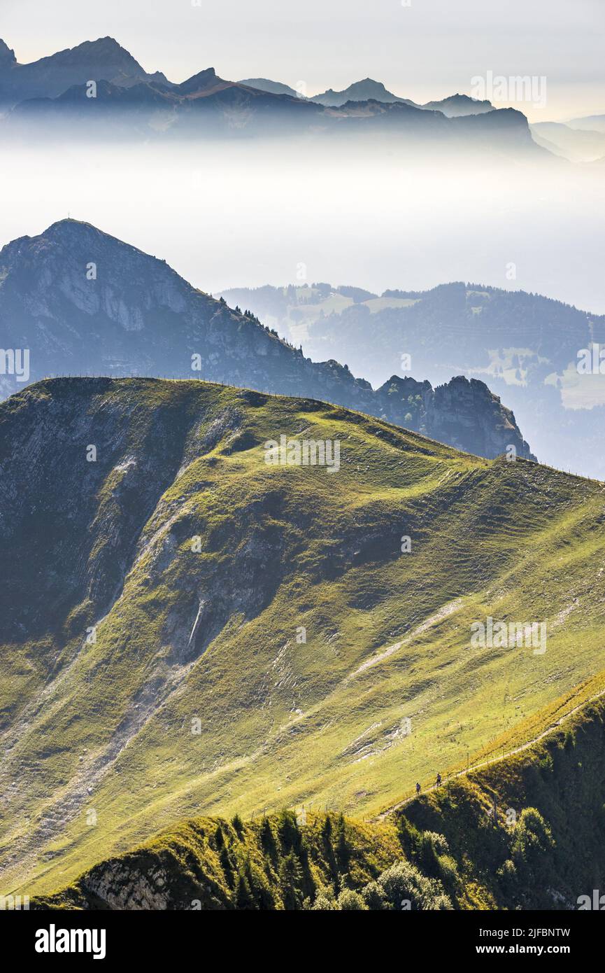 Switzerland canton friborg gruyères hi-res stock photography and images ...