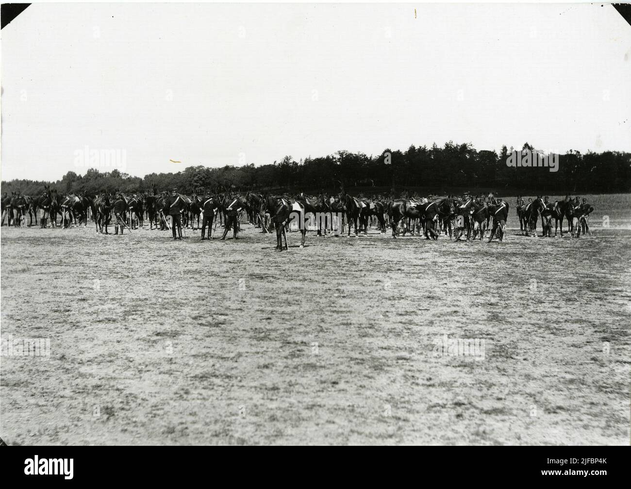 The Life Regiment's dragons K 2, 1 Squadron lined up at Ladugårdsgärde ...