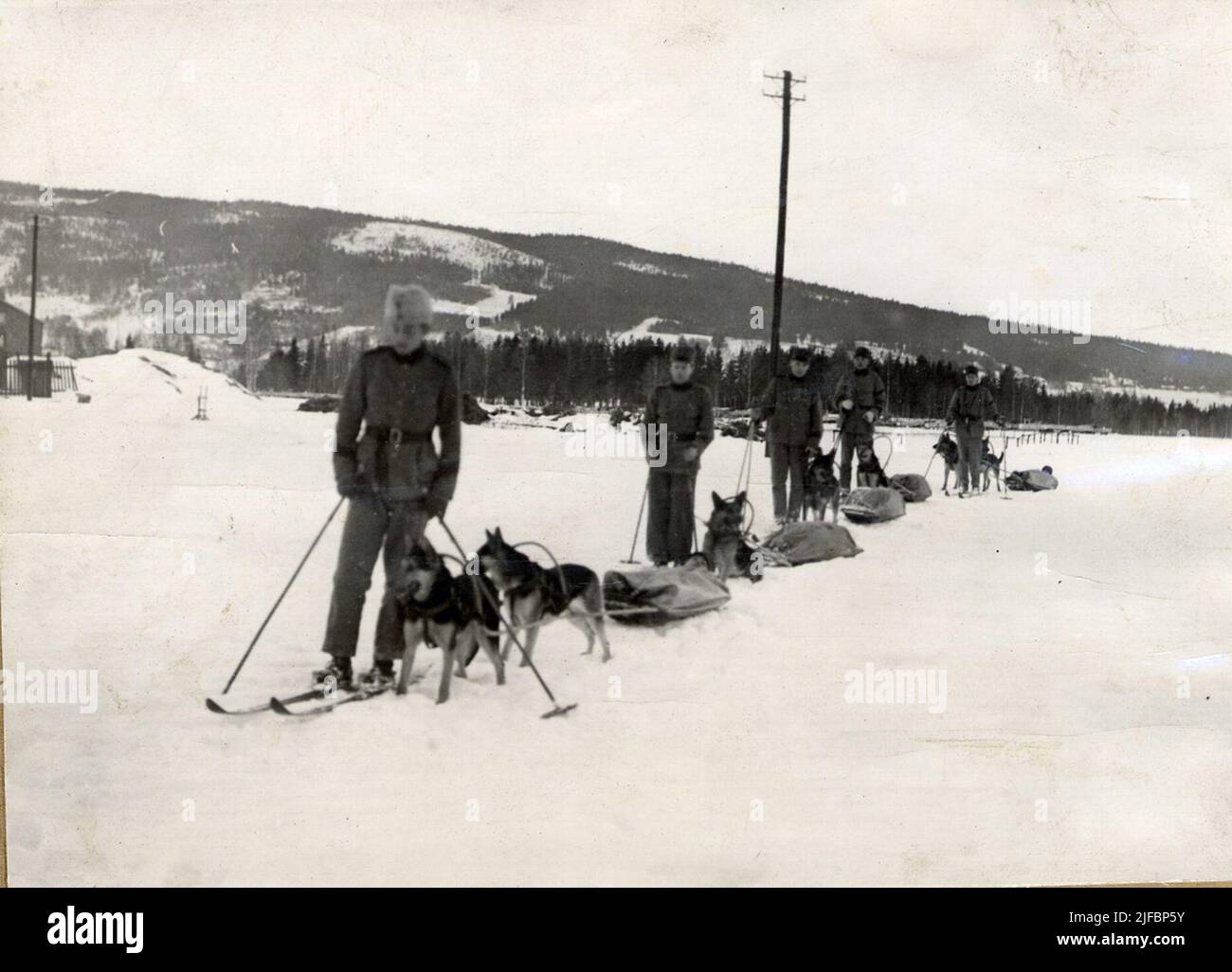 Soldiers go skiing and dogs pull sledges with equipment. Soldiers go ...