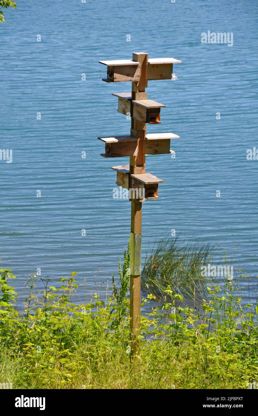 Birdhouse by lake hi-res stock photography and images - Alamy