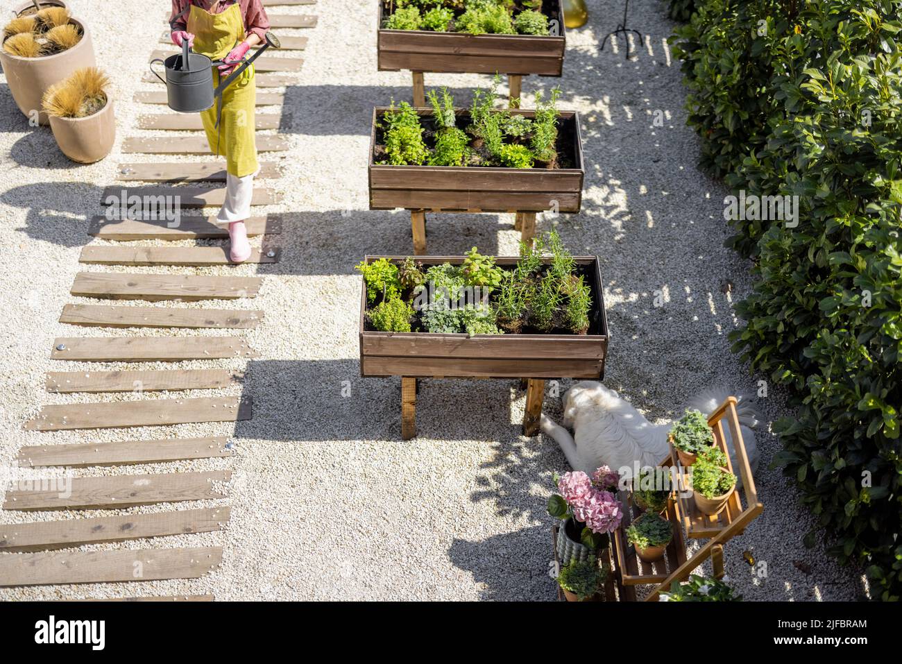 Plant pot from top view hi-res stock photography and images - Alamy