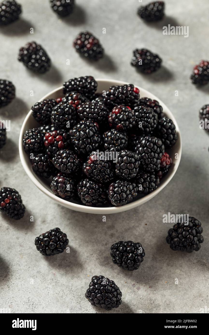 Raw Black Organic Blackberries in a Bowl Stock Photo - Alamy