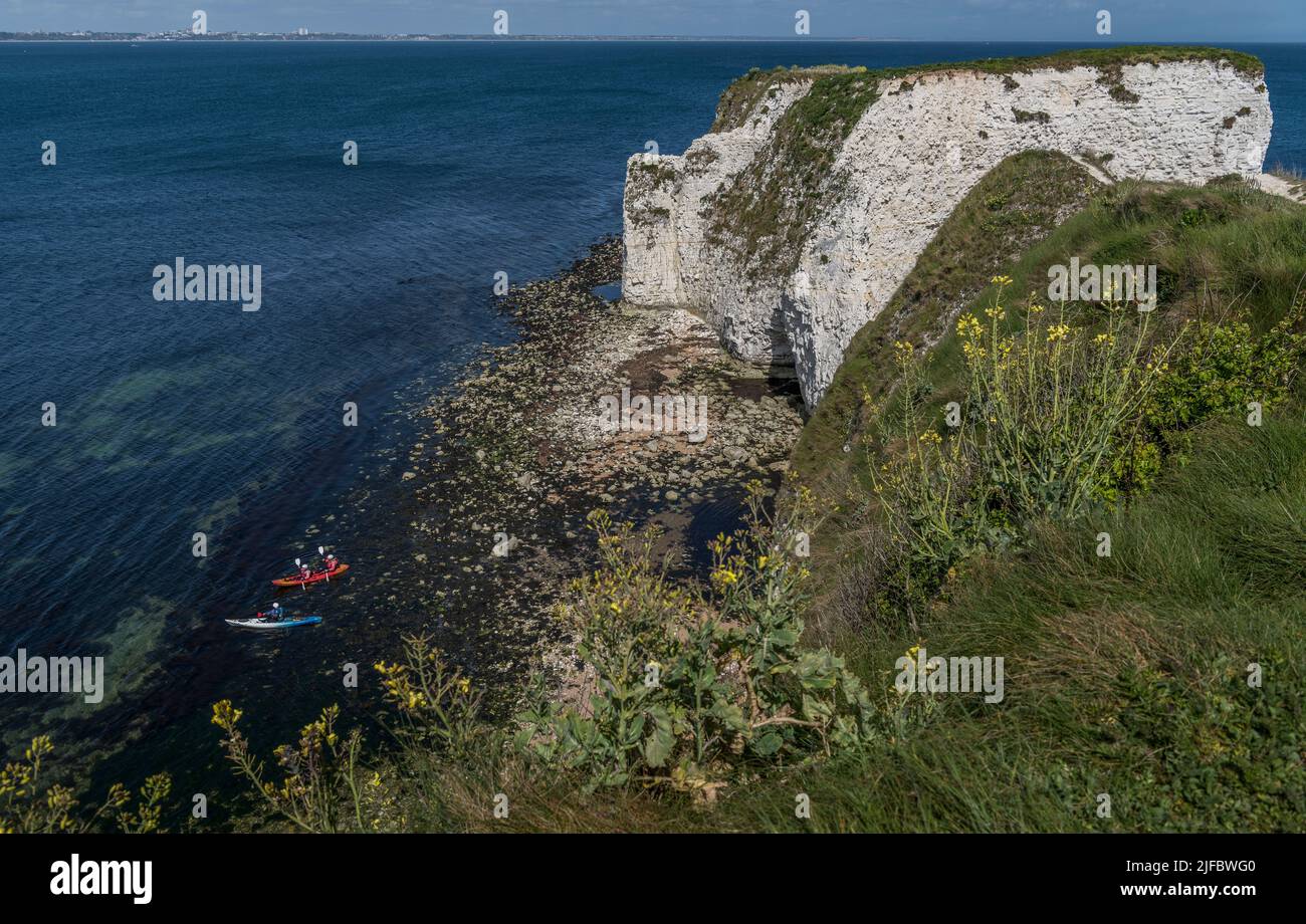 People in two kayaks setting off from the rocky beach below Old Harry ...