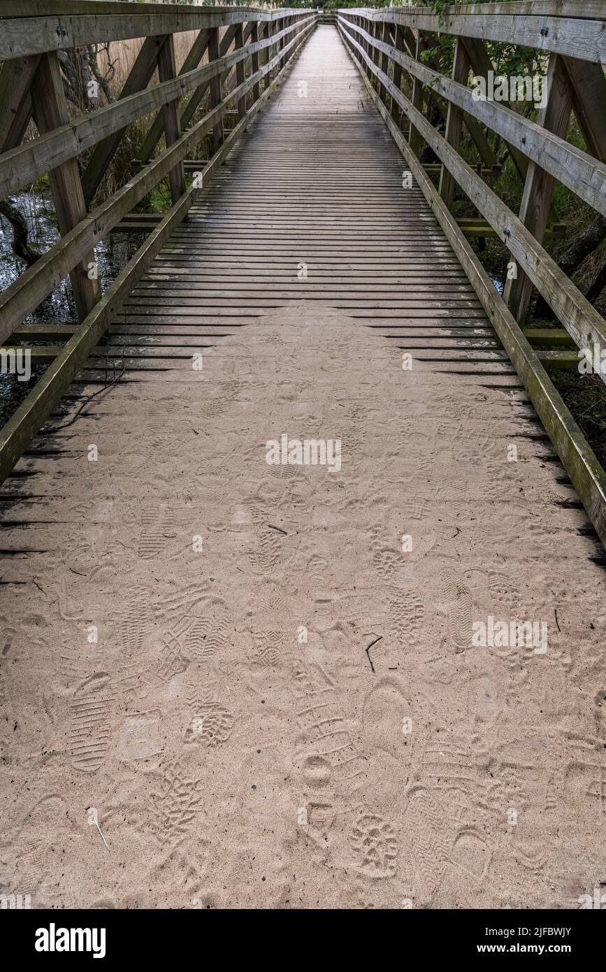 Footprint patterns in sand on a wooden walkway from a beach with the ...
