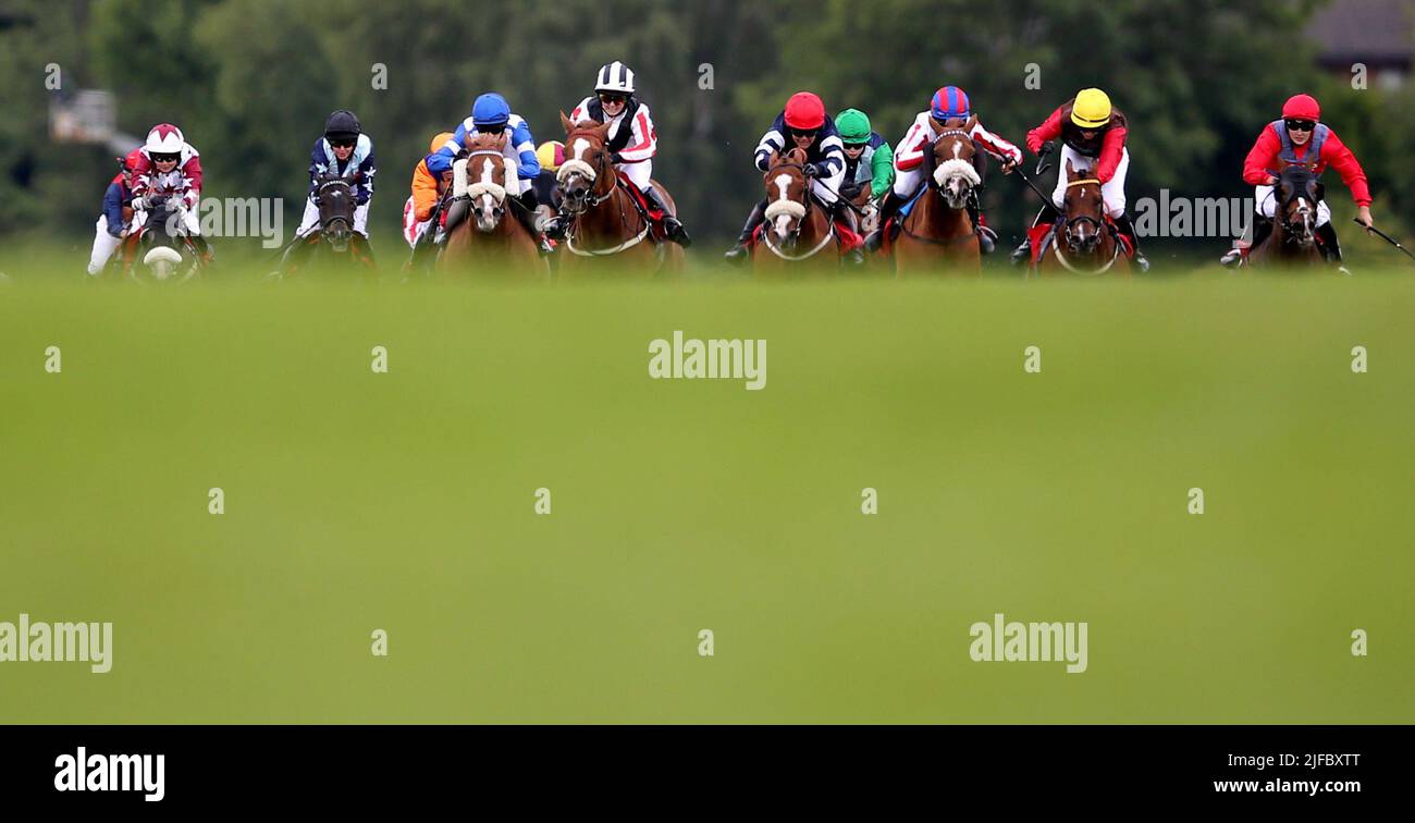 Fourth fern hi-res stock photography and images - Alamy