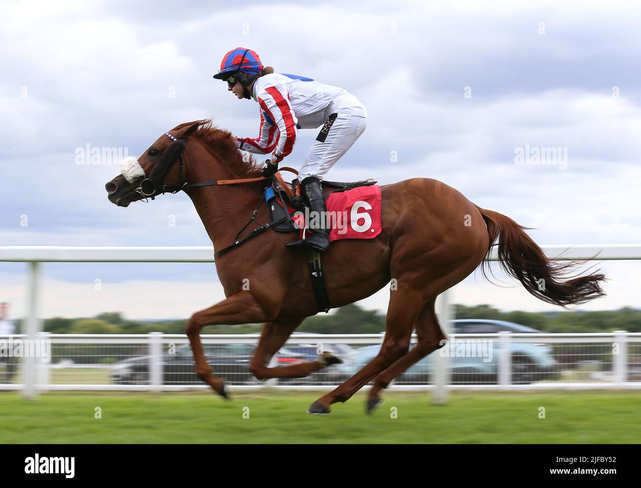 Maysong horse hi-res stock photography and images - Alamy