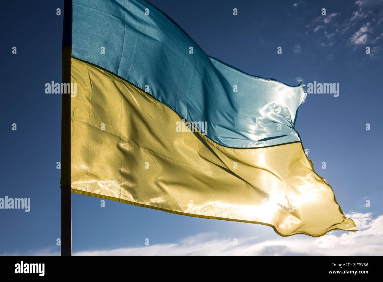 The flag of independent Ukraine is blowing in the wind against the blue ...