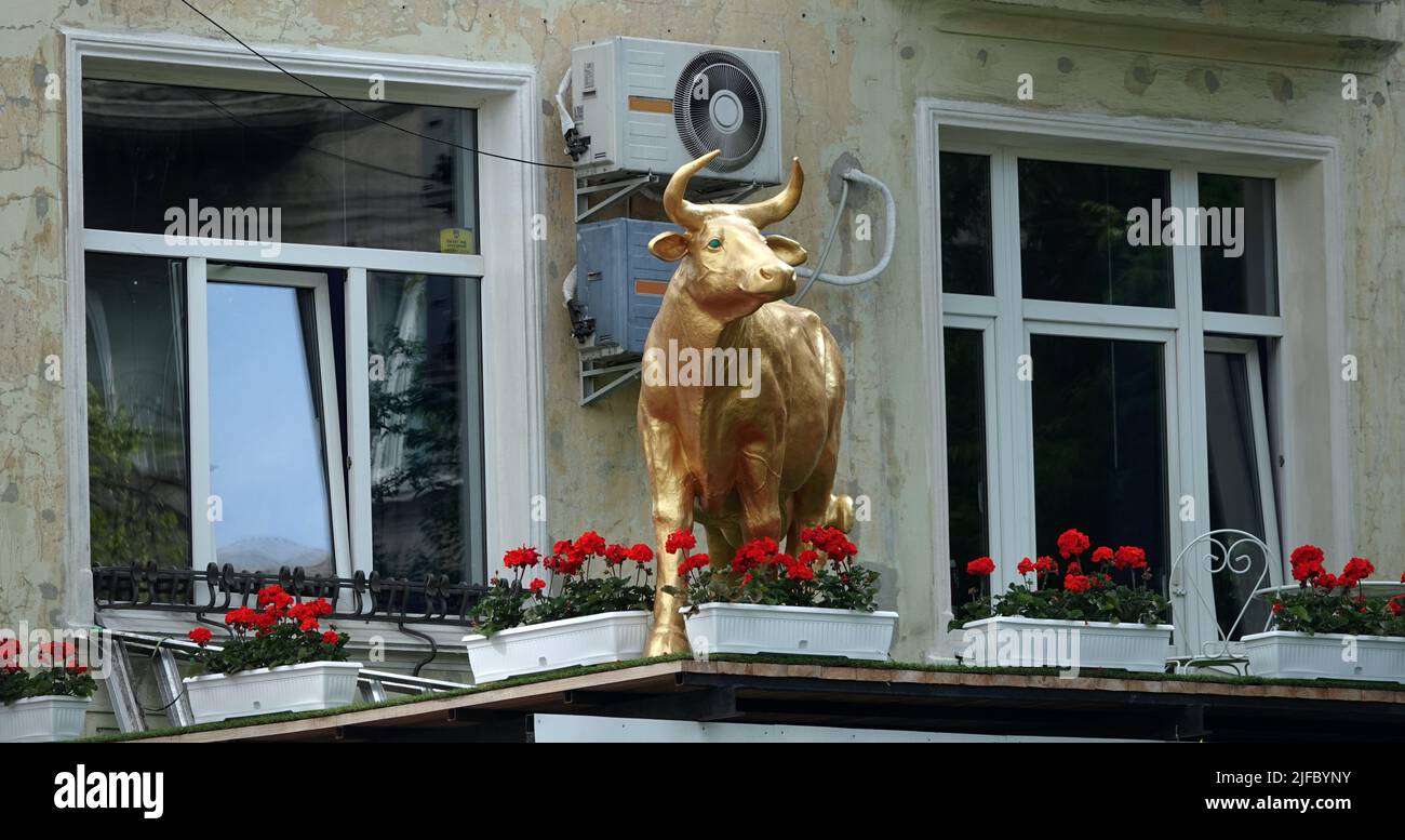 Golden cow hi-res stock photography and images - Alamy