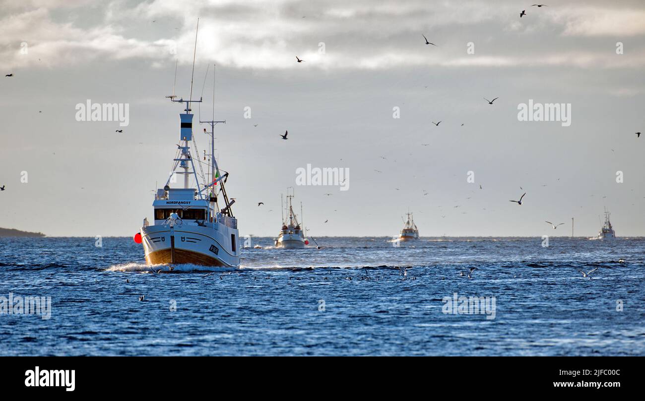 Boats returning from cod fishing at Röst, Lofoten in February 2013 ...