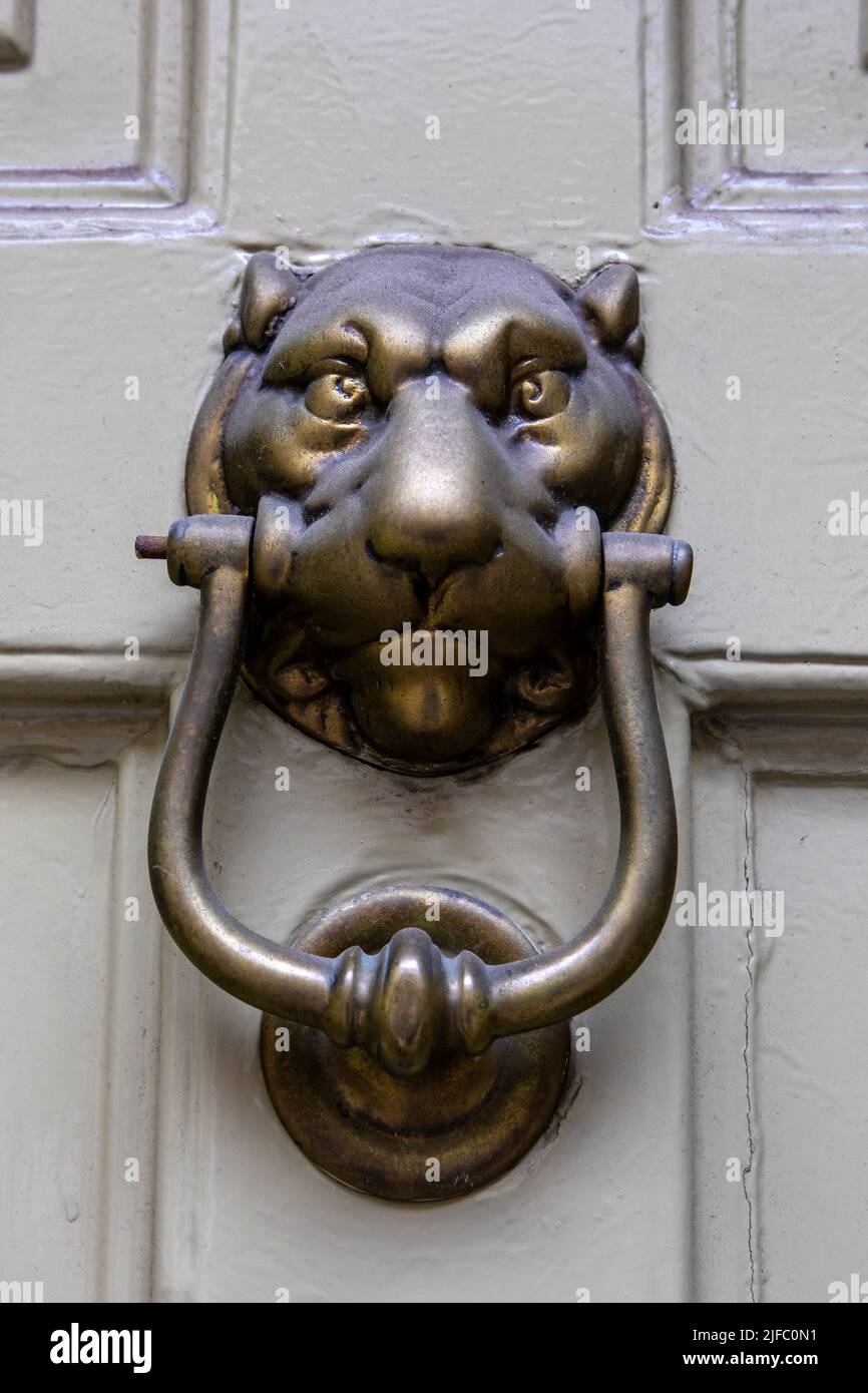 Cat door knocker hi-res stock photography and images - Alamy