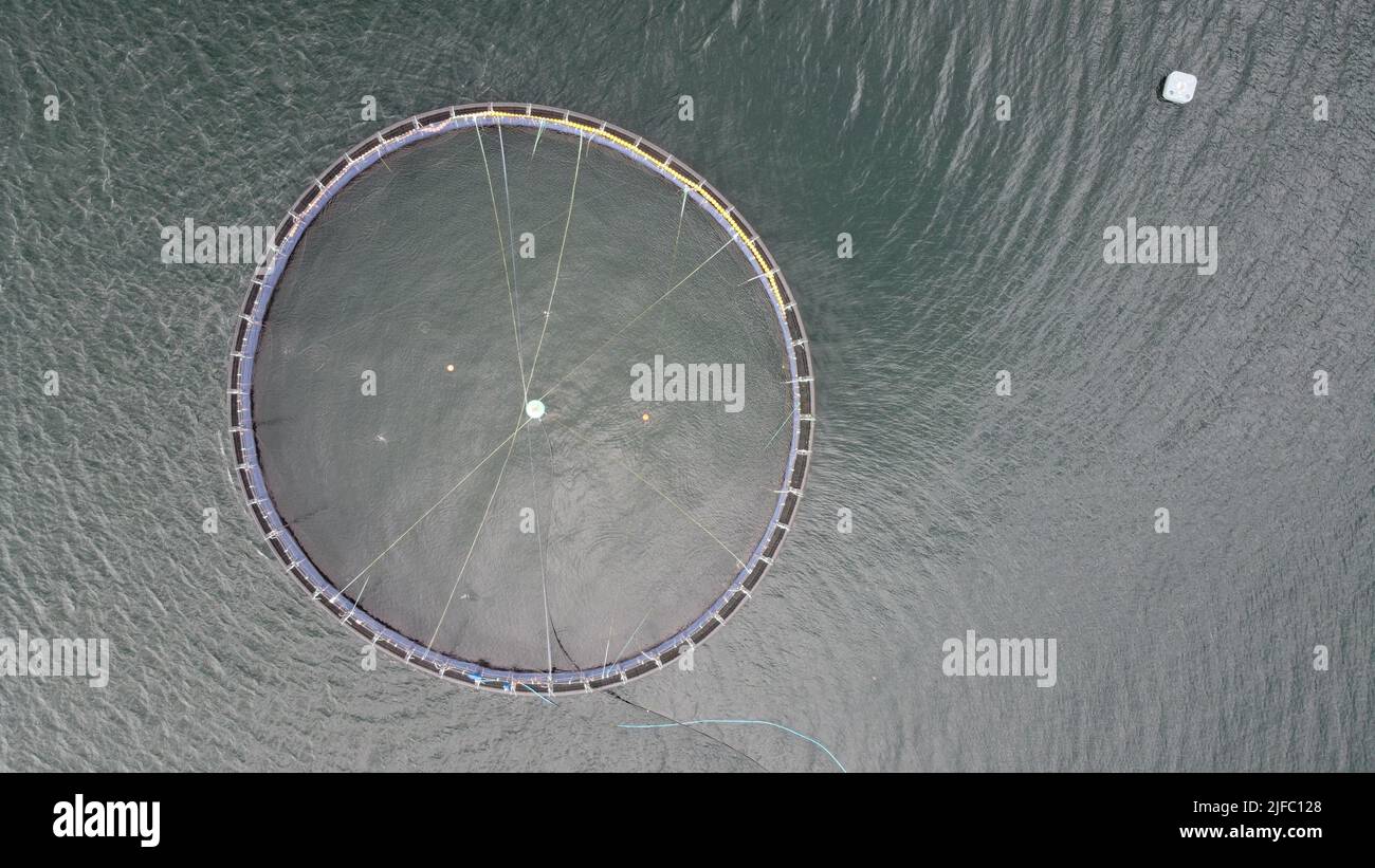 Aerial view of an Atlantic salmon fish farm off the coast of Argyll ...