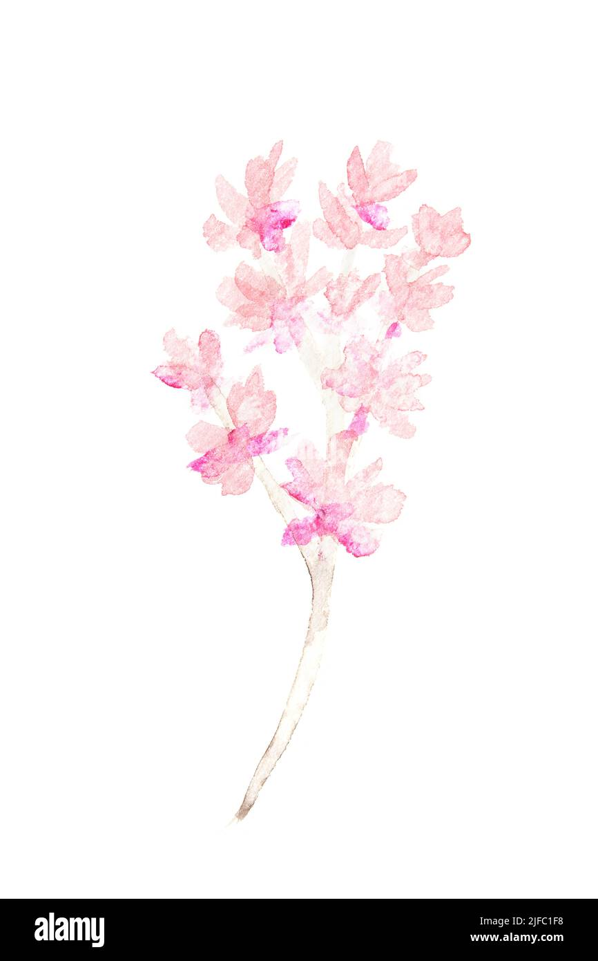 Blossoming watercolor pink tree. Spring flower in bloom on branch ...