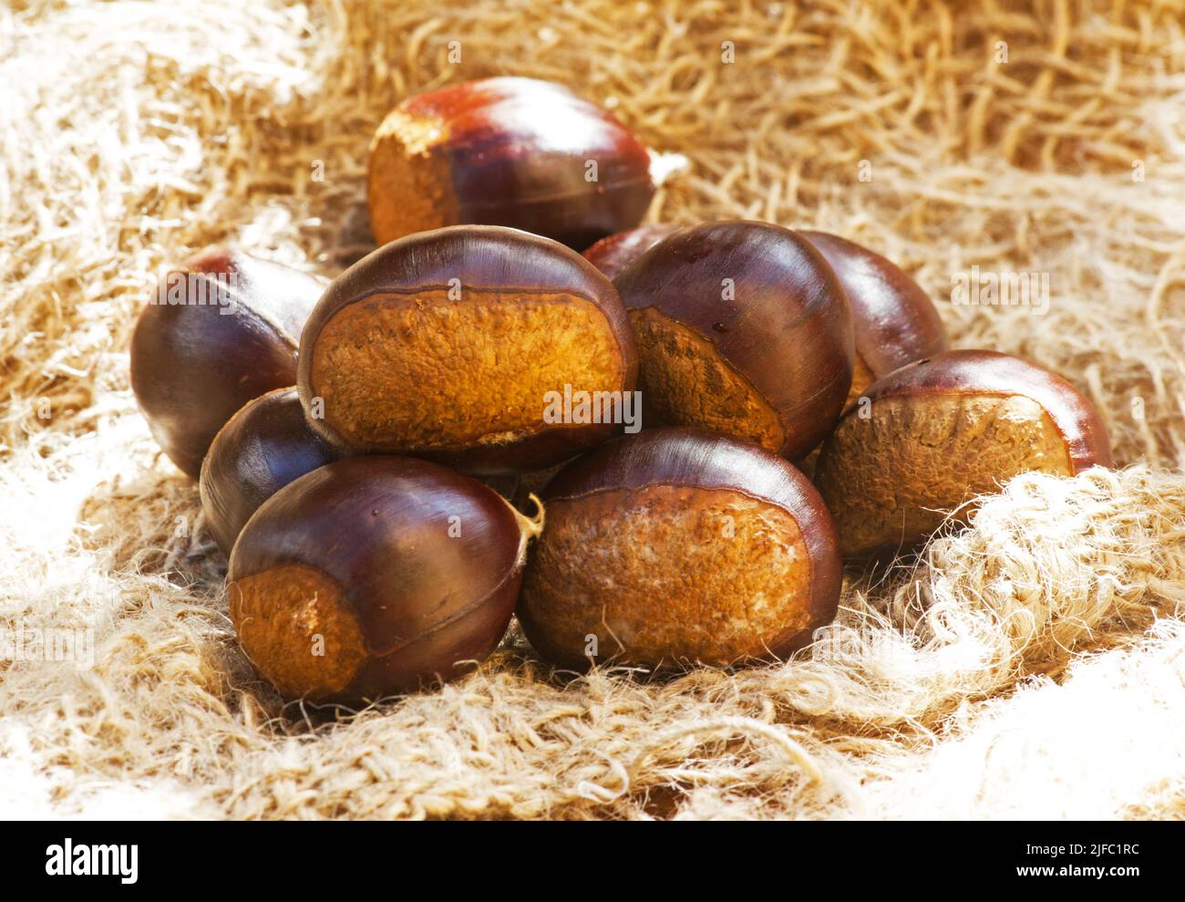 Chestnuts burr hi-res stock photography and images - Alamy