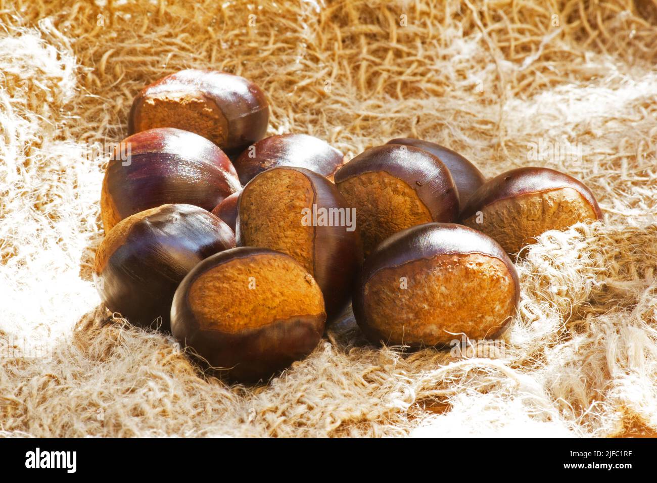 Chestnuts burr hi-res stock photography and images - Alamy