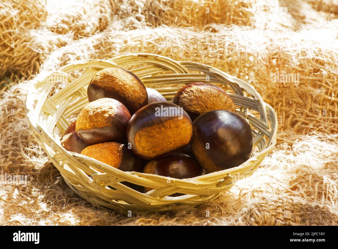 Bunch of chestnuts in a basket on burlap Stock Photo - Alamy