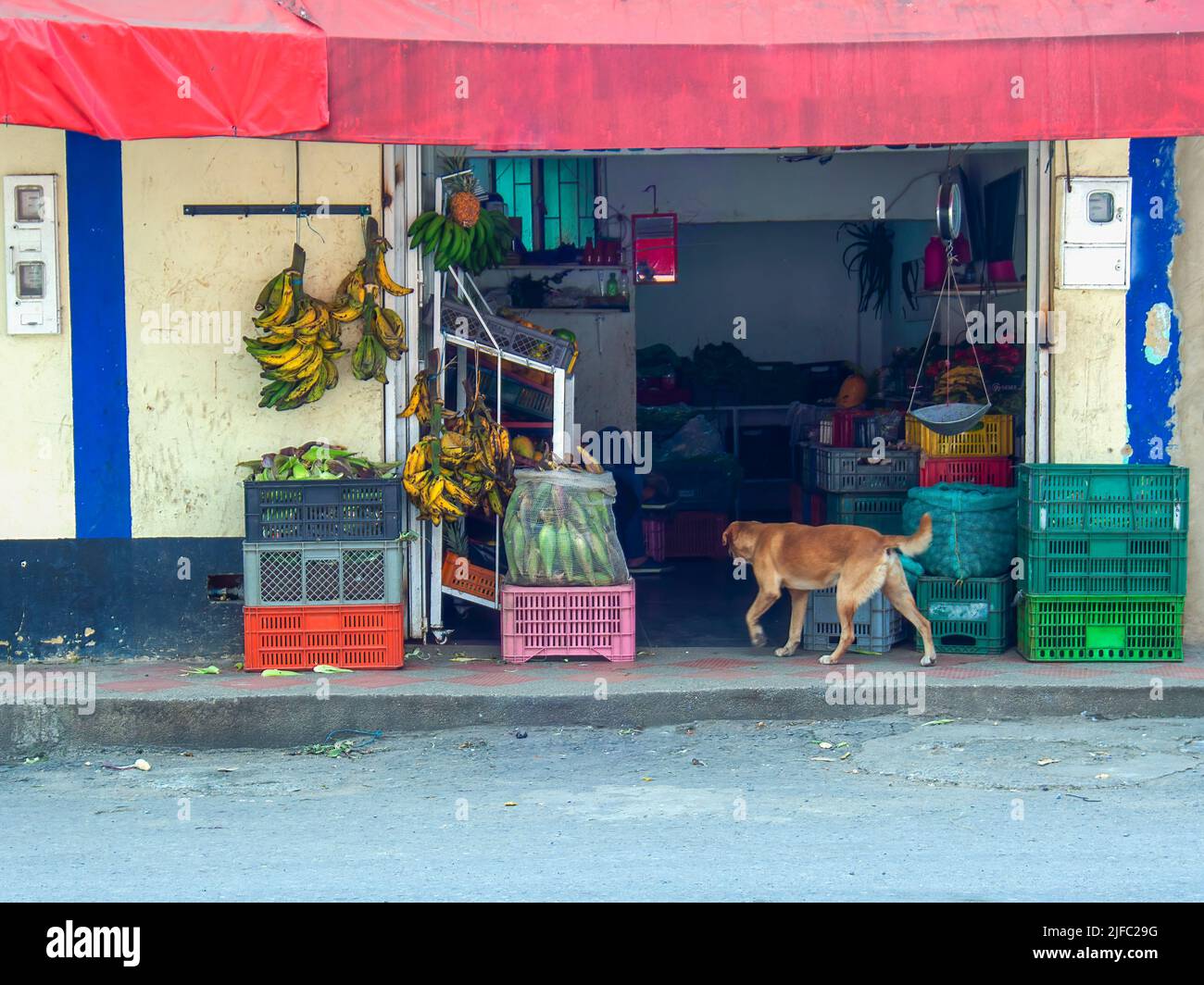 Homeless outside food store hi-res stock photography and images - Alamy