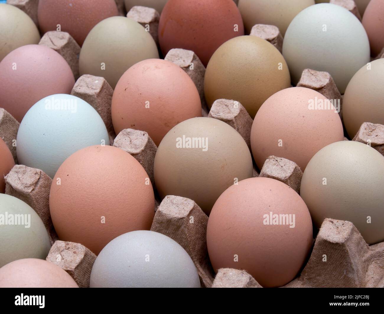 Very close-up photography of some assorted color free-range eggs on a ...