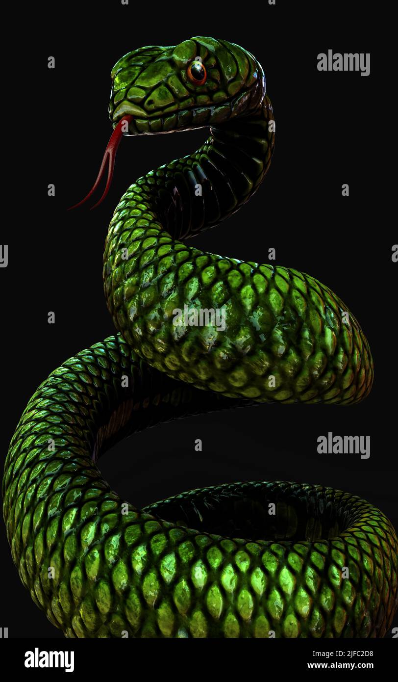 Green Cobra Snake