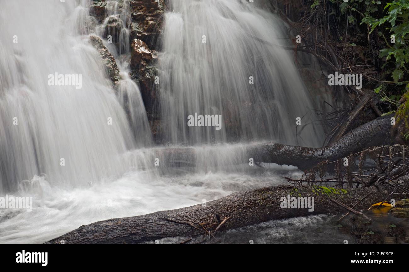 Waterfall and old logs in Bwindi Impenetrable National Park, Uganda ...