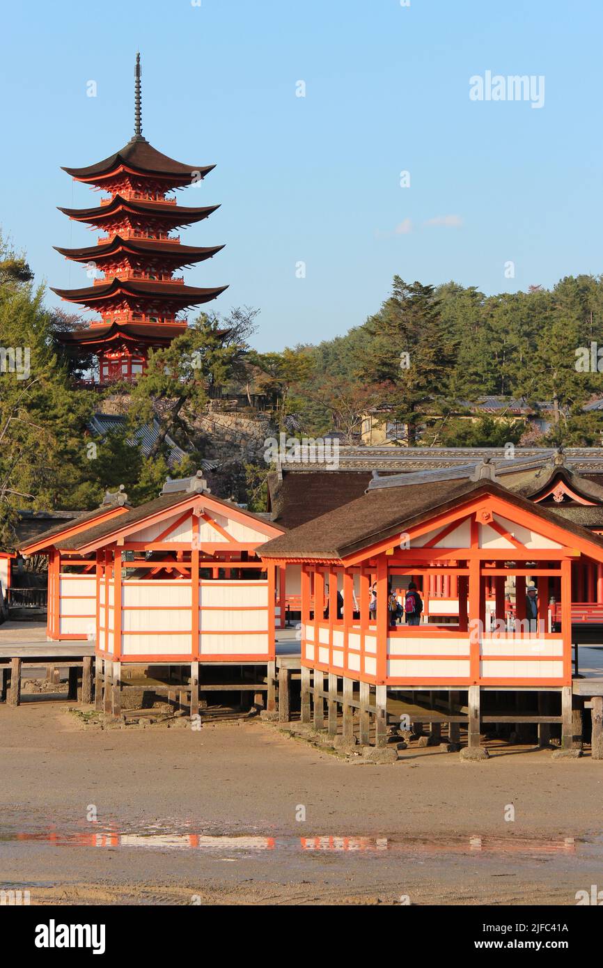 shinto shrine (itsukushima) in miyajima in japan Stock Photo - Alamy