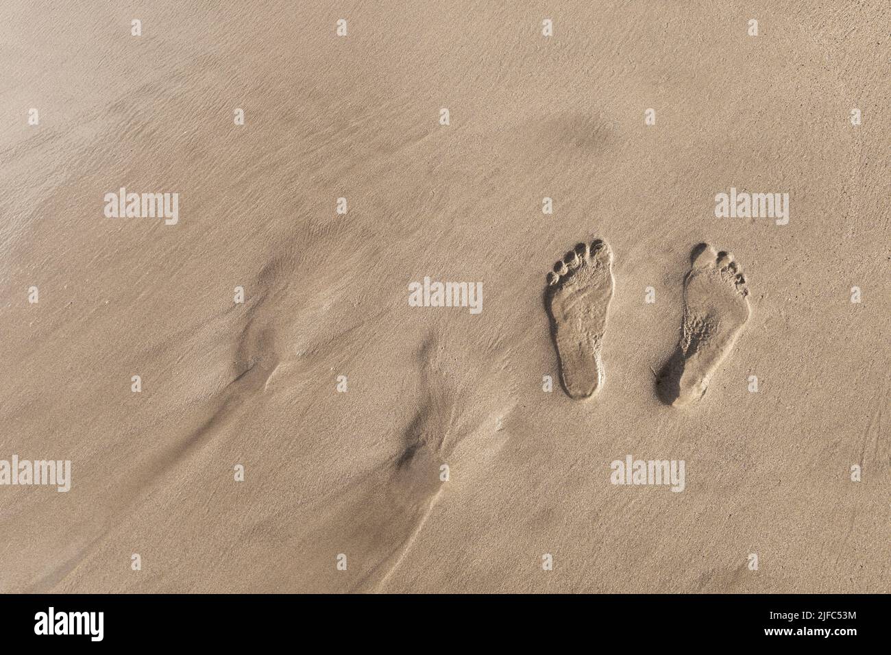 Two footsteps in the sand on a walk in Maui Hawaii Stock Photo - Alamy
