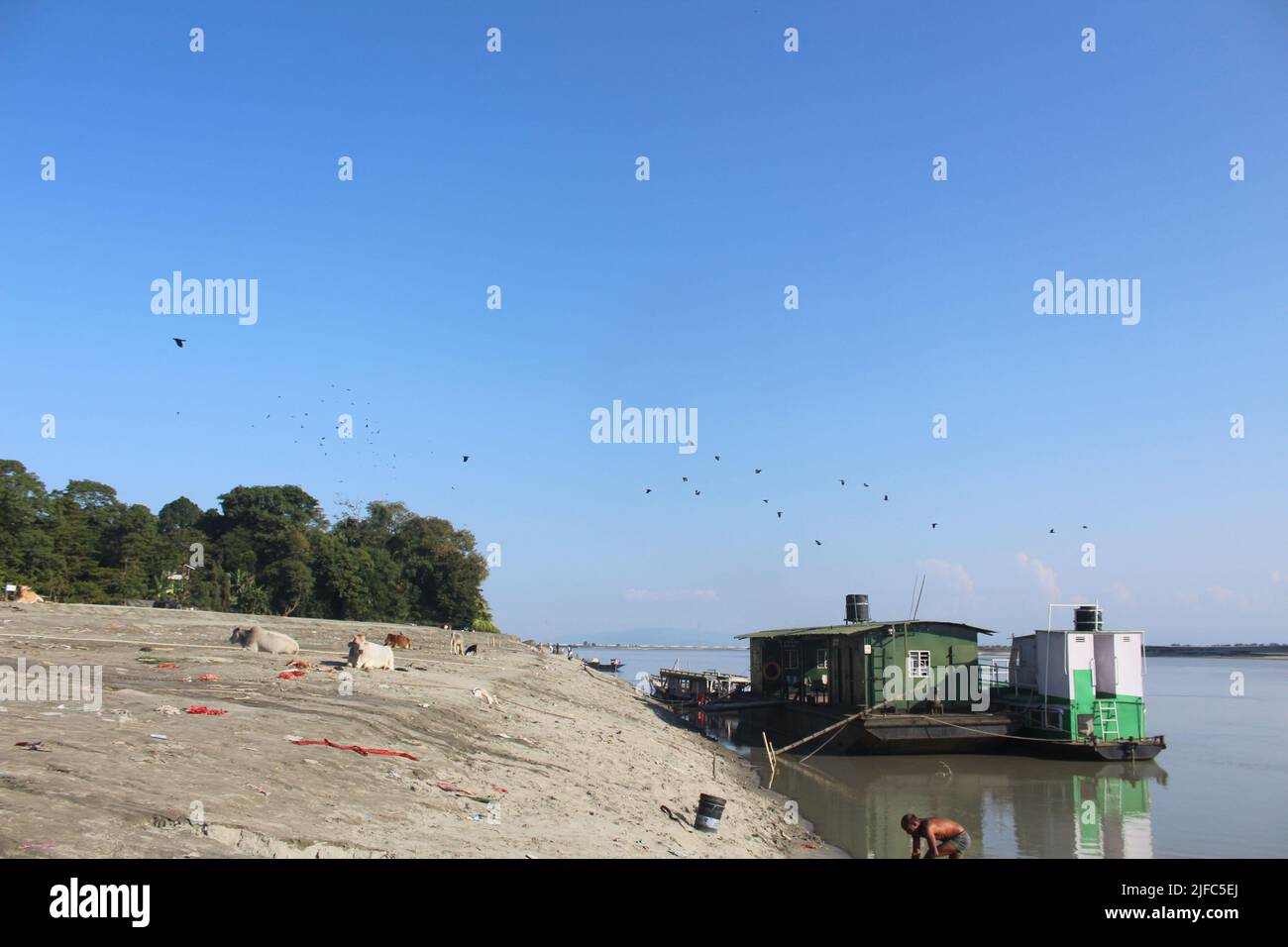 Nature and it's interspersion with humans in Assam Stock Photo - Alamy