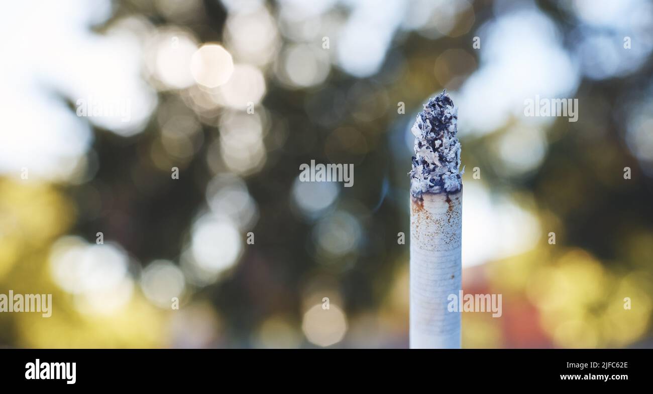 Closeup of a burning cigarette with an ashy tip against a blurred ...