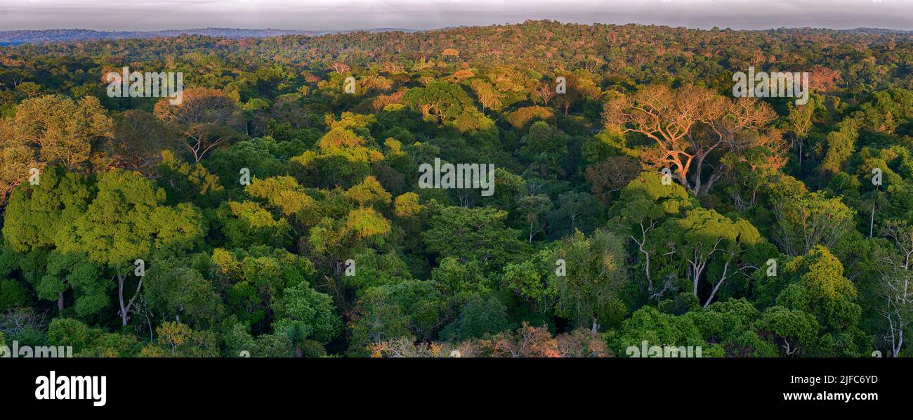 Large panorama of the Amazon rainforest. Area of Cristalino, southern ...