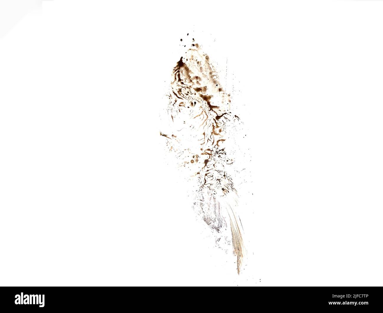 Muddy boot print hi-res stock photography and images - Alamy