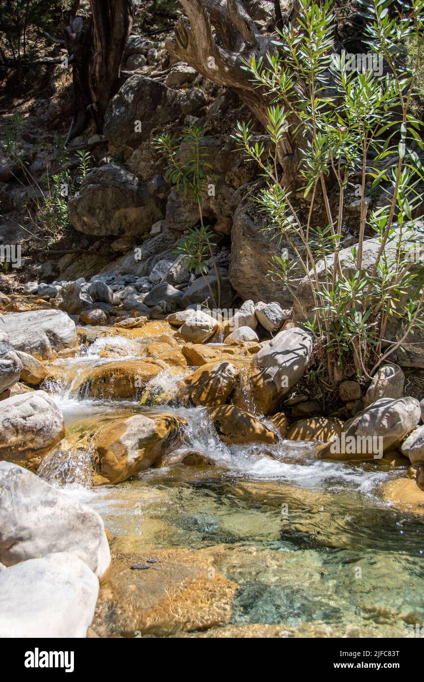 Crystal clear water in the Samaria Gorge Stock Photo - Alamy