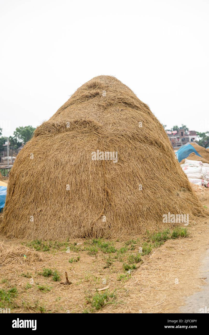 Gold food egypt hi-res stock photography and images - Alamy